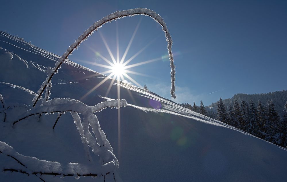 Sonne im Winter Foto & Bild | jahreszeiten, winter, sonne Bilder auf fotocommunity