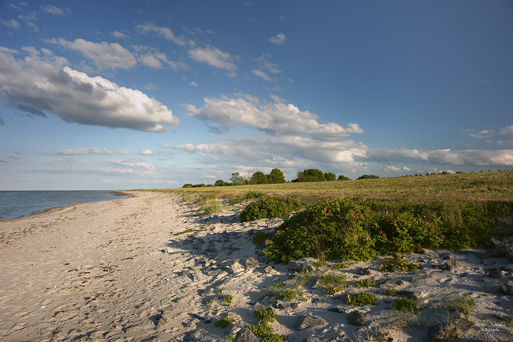 Sonne, Starnd, Wärme .... hoffentlich gaaaanz schnell Foto & Bild ...
