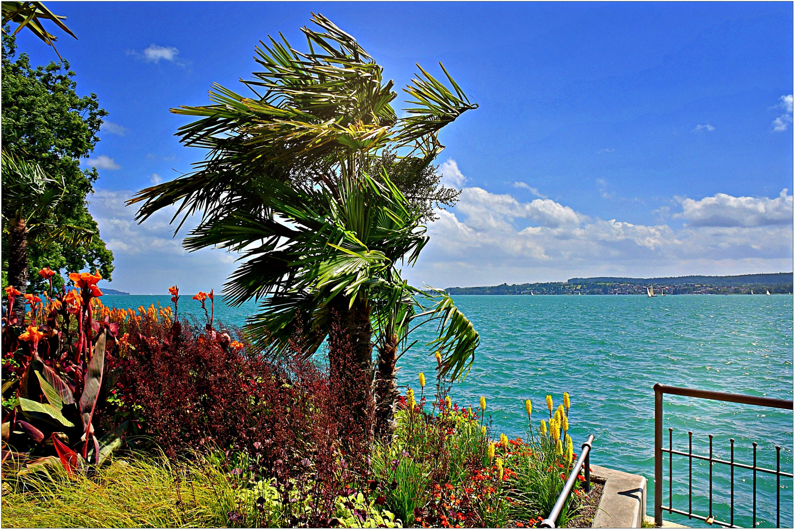 Sonne, Wasser, Wind und Pflanzen . . . Foto & Bild | landschaften ...