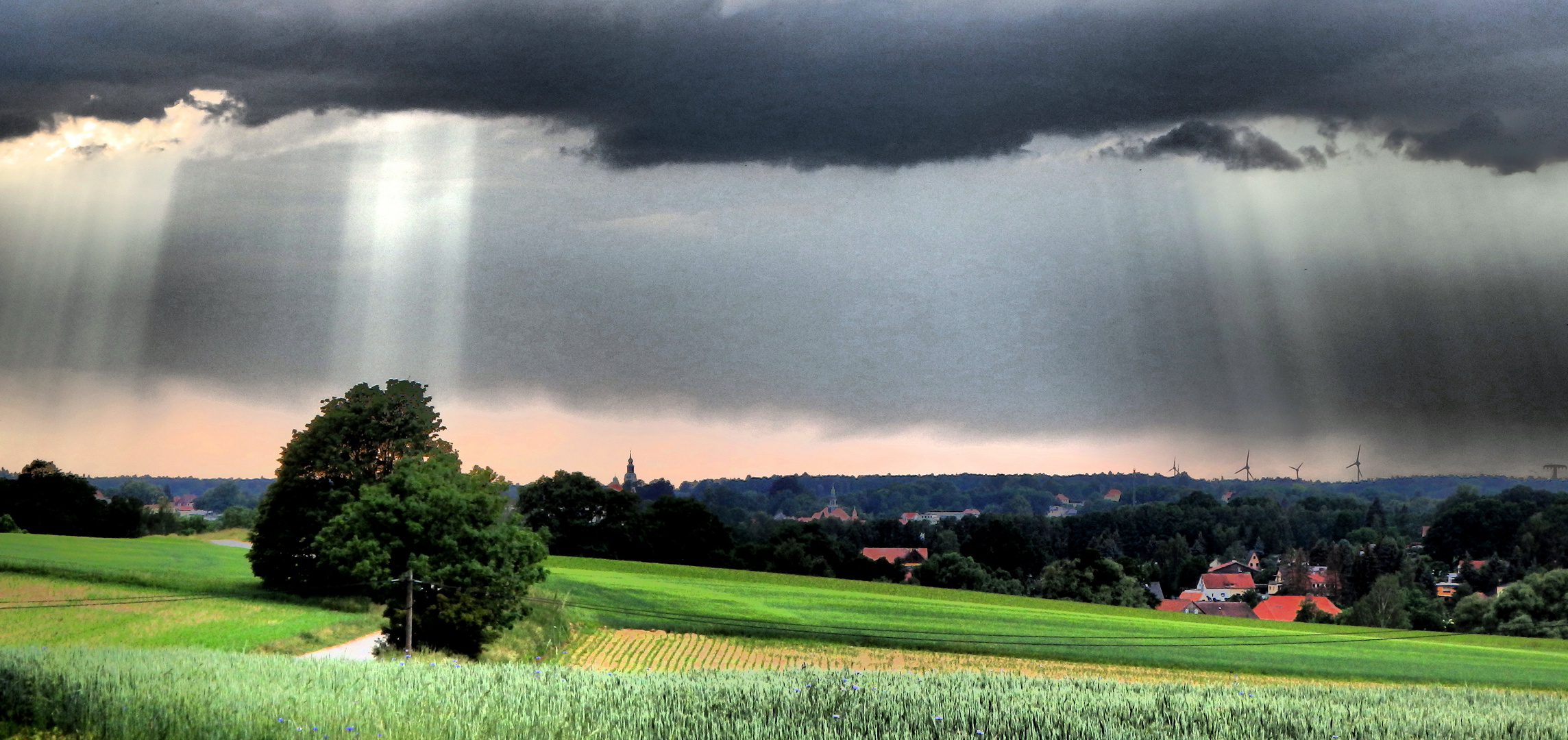Sonne zieht Wasser Foto & Bild | landschaft, Äcker, felder & wiesen ...