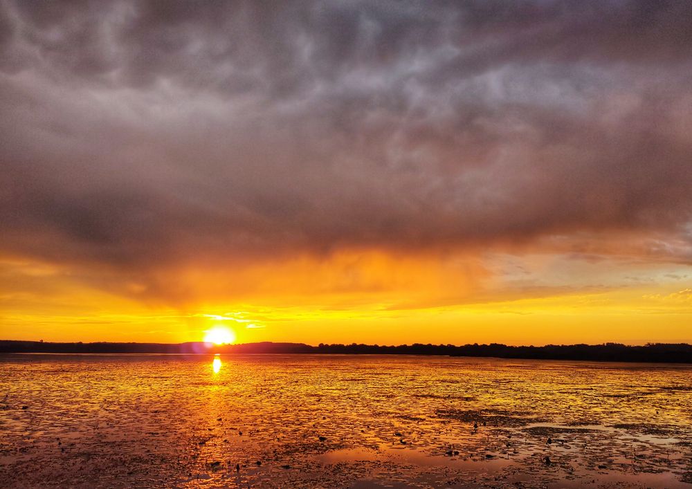 Sonnenaufgang am Federsee Foto & Bild | spezial, natur, see Bilder auf fotocommunity