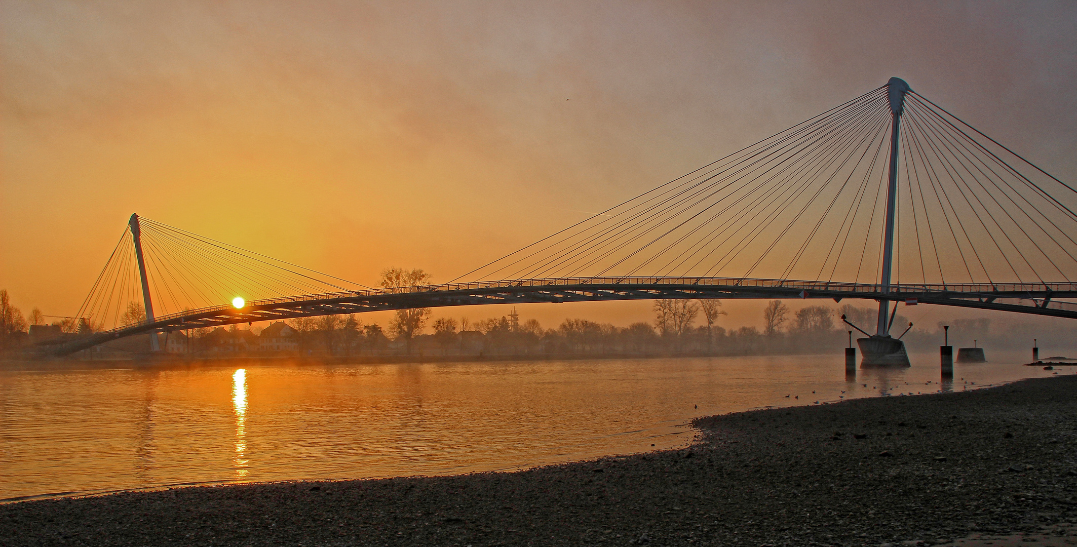 Sonnenaufgang am Rhein Foto & Bild | deutschland, europe, baden- württemberg Bilder auf ...