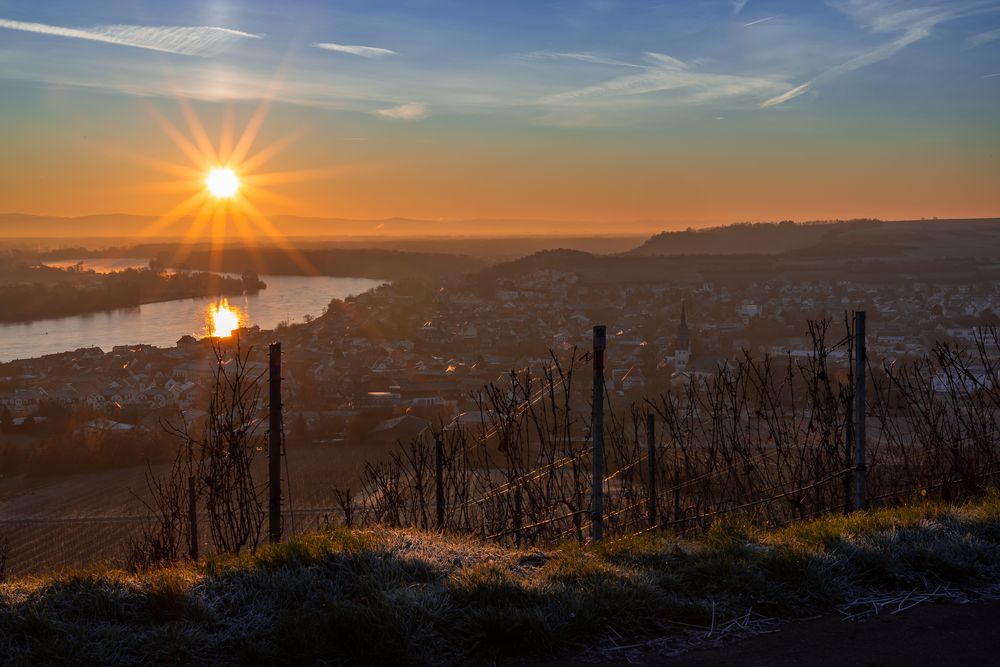 Sonnenaufgang am Rhein Foto & Bild | deutschland, europe, rheinland-pfalz Bilder auf fotocommunity