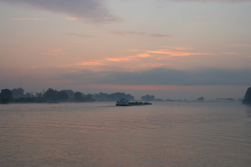 Sonnenaufgang am Rhein bei Oppenheim Foto & Bild | landschaft, bach, fluss & see, flüsse und ...