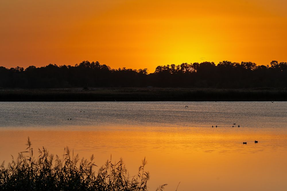 Sonnenaufgang am See Foto & Bild | emotionen, romantik, mark brandenburg Bilder auf fotocommunity