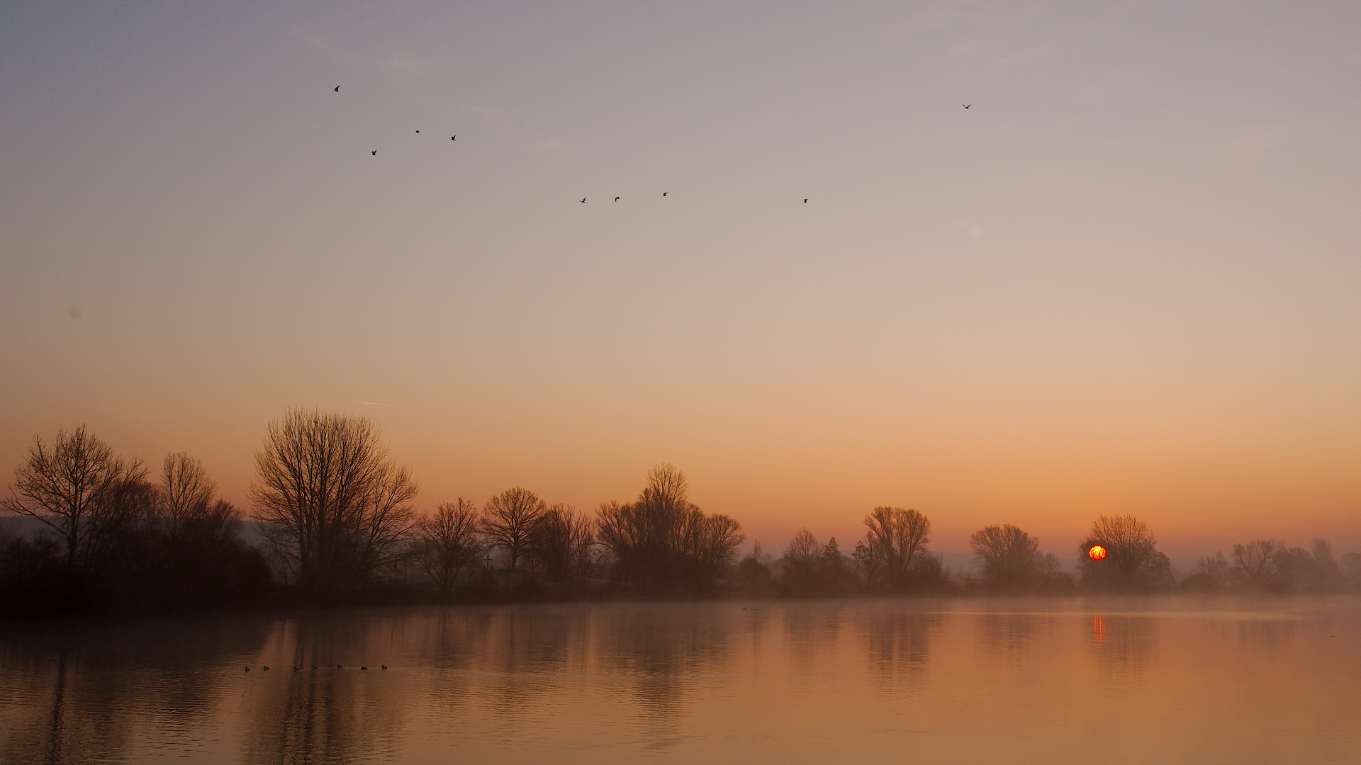 Sonnenaufgang am See Foto & Bild | nature, outdoor, wasser Bilder auf fotocommunity