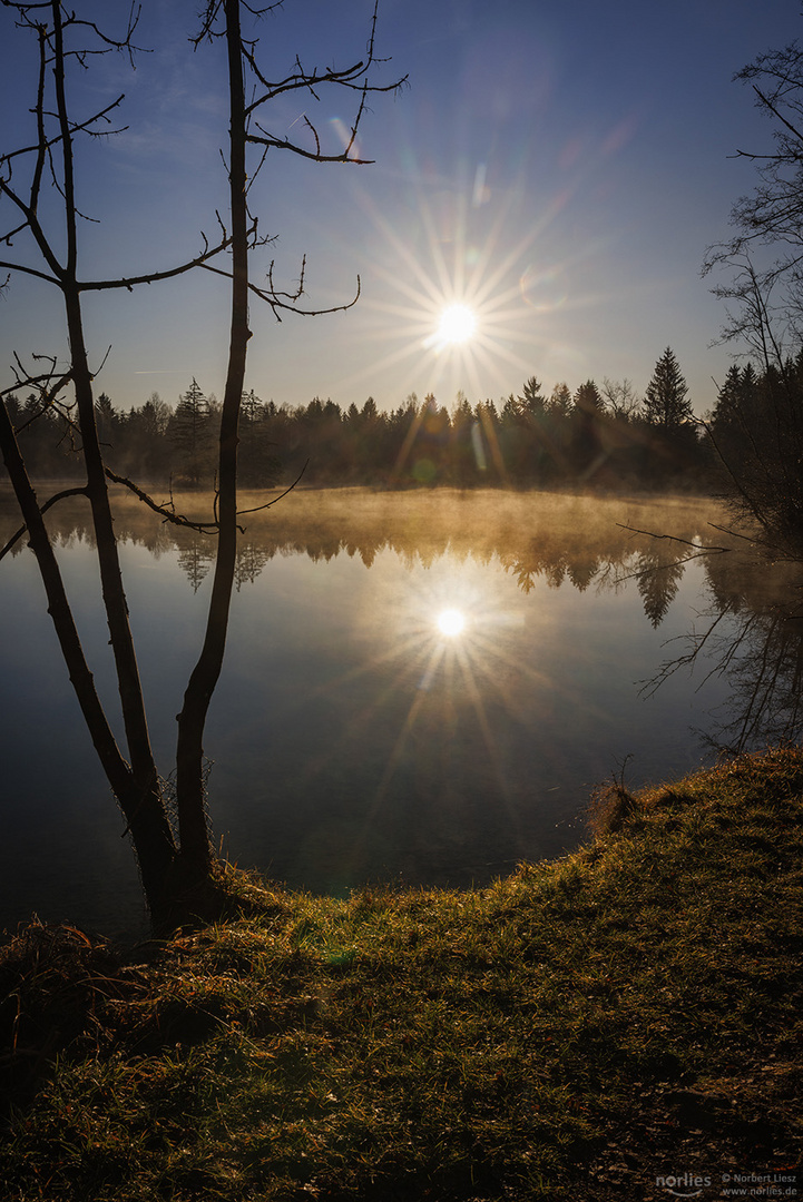 Sonnenaufgang am See Foto & Bild | deutschland, europe, bayern Bilder auf fotocommunity