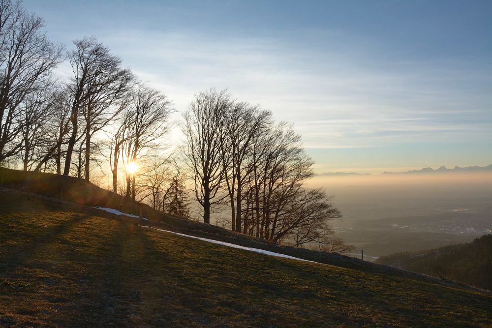 Sonnenaufgang Balmberg 5 Foto & Bild | landschaft, berge, wald Bilder ...