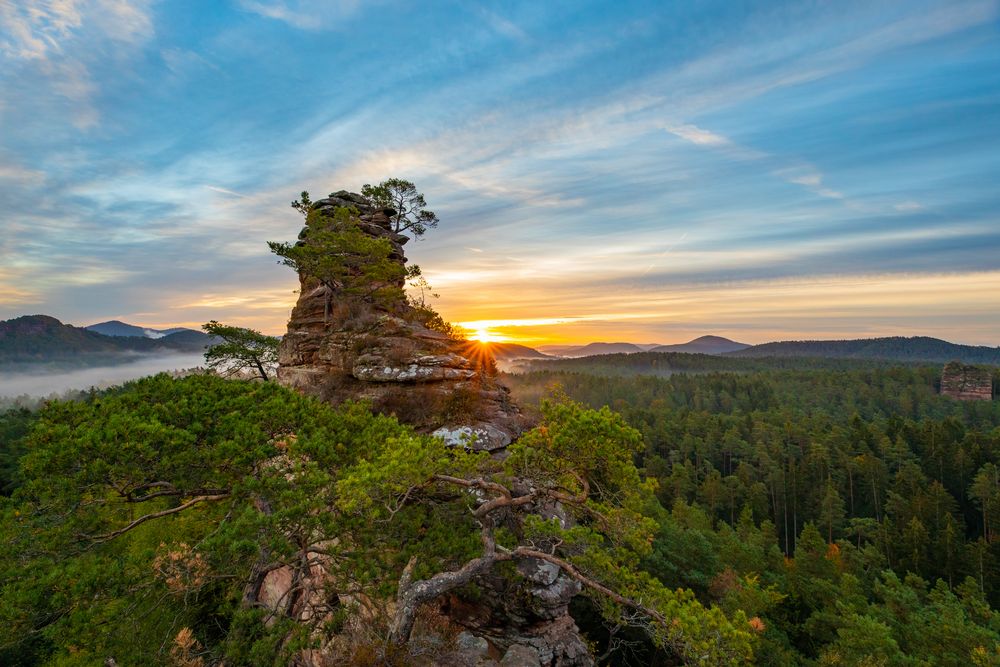Sonnenaufgang im Felsenland Foto & Bild | deutschland, europe, rheinland-pfalz Bilder auf ...