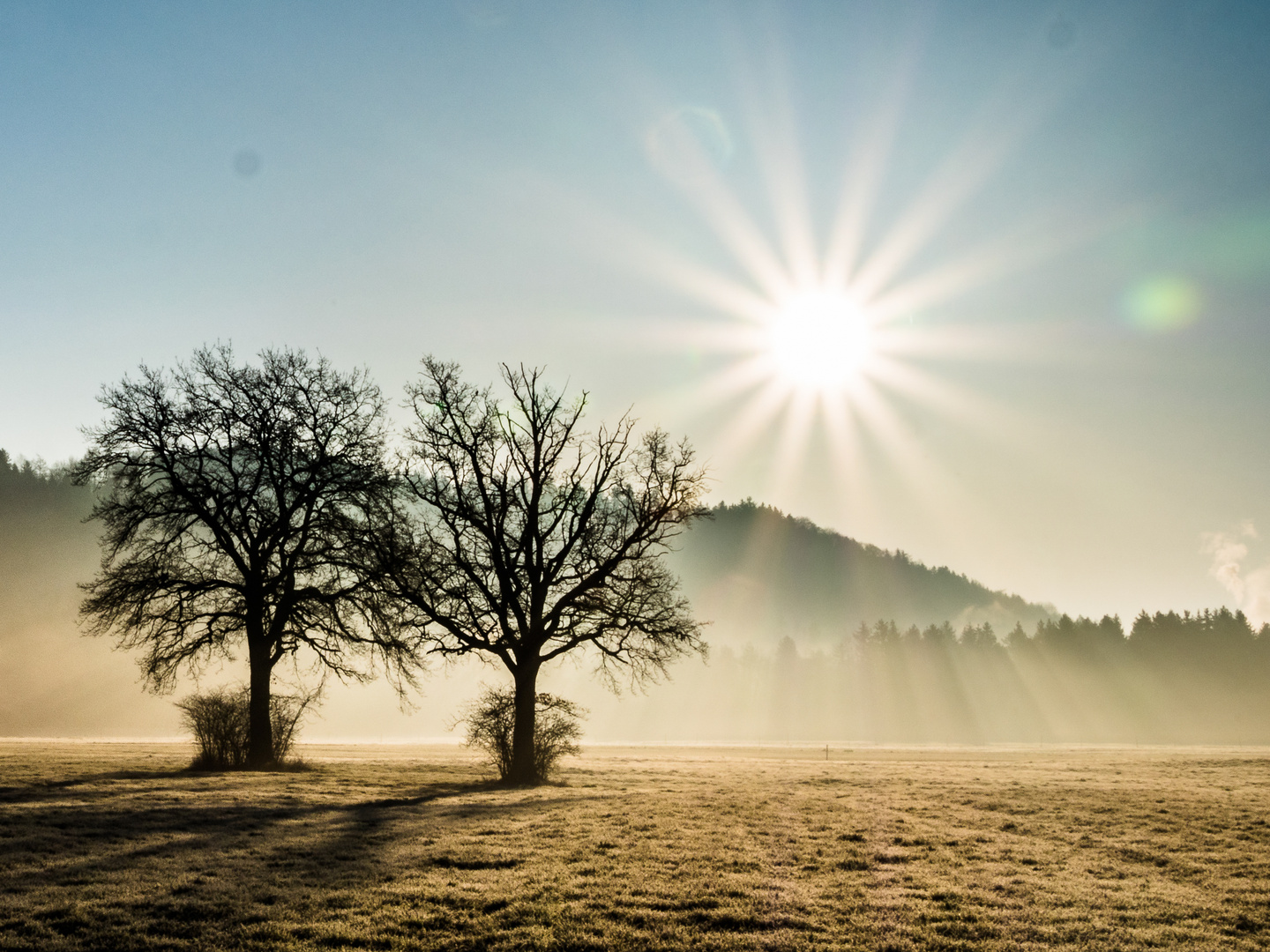 Sonnenaufgang im Nebel Foto & Bild | landschaft, bäume, sonnenaufgang Bilder auf fotocommunity
