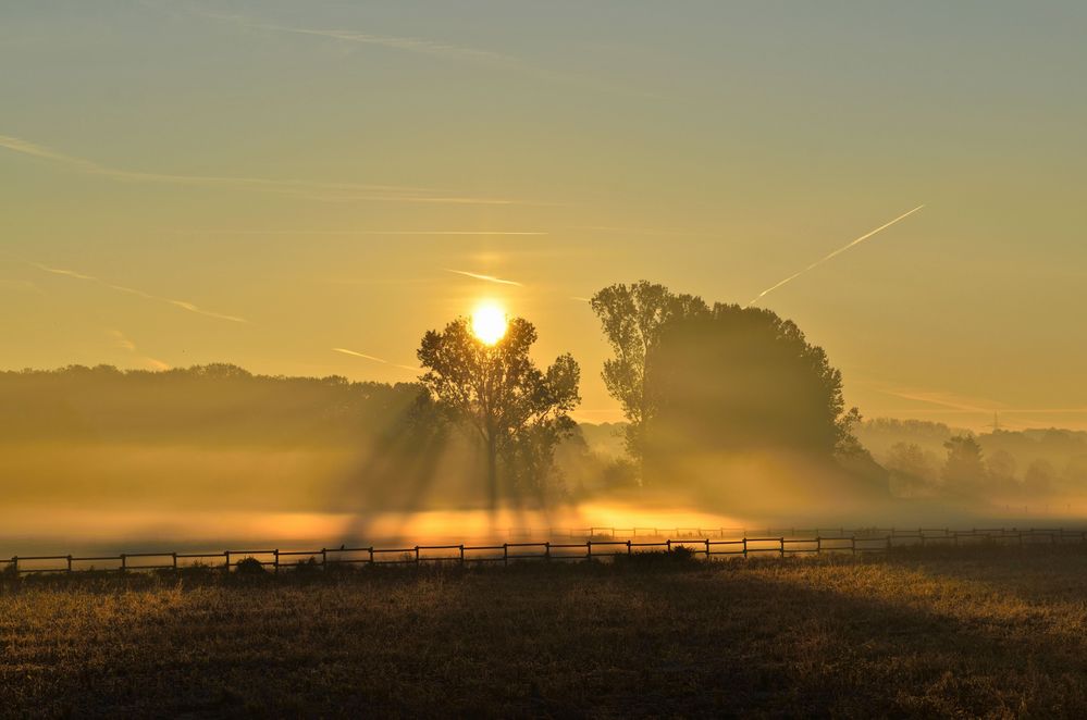 Sonnenaufgang im Nebel Foto & Bild | landschaft, Äcker, felder & wiesen, landschaften Bilder auf ...