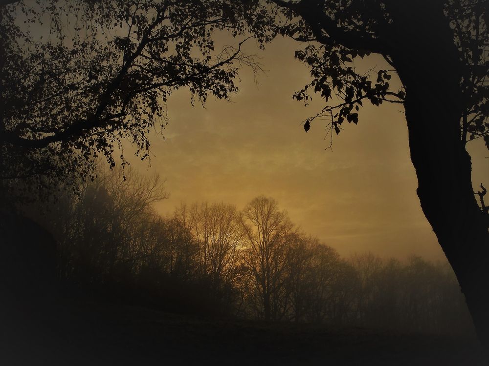 Sonnenaufgang im November Foto & Bild | jahreszeiten, herbst, sonnenaufgänge Bilder auf ...