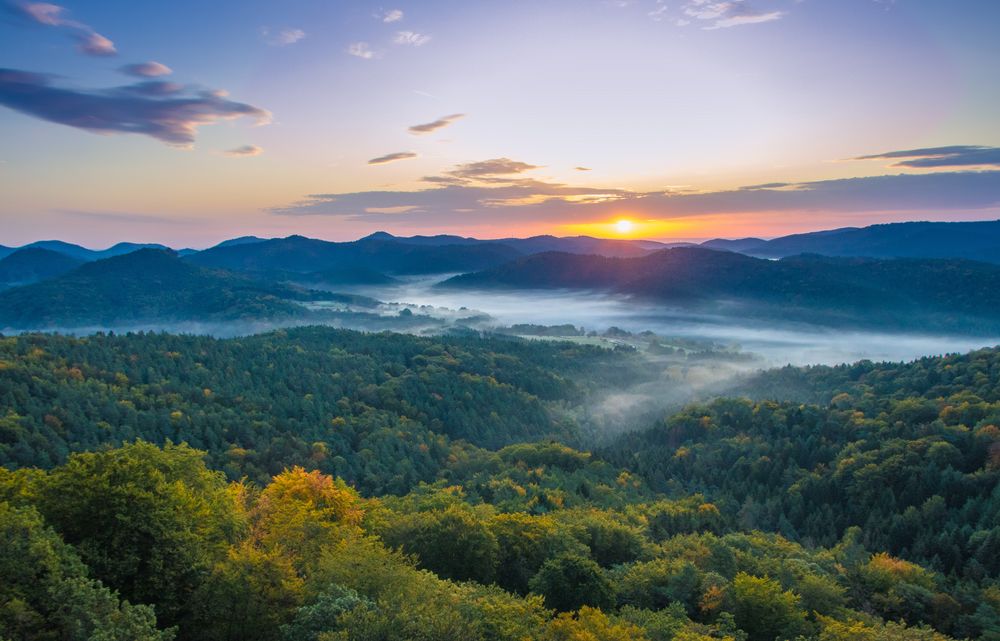 Sonnenaufgang im Pfälzerwald Foto & Bild | deutschland, europe, rheinland-pfalz Bilder auf ...
