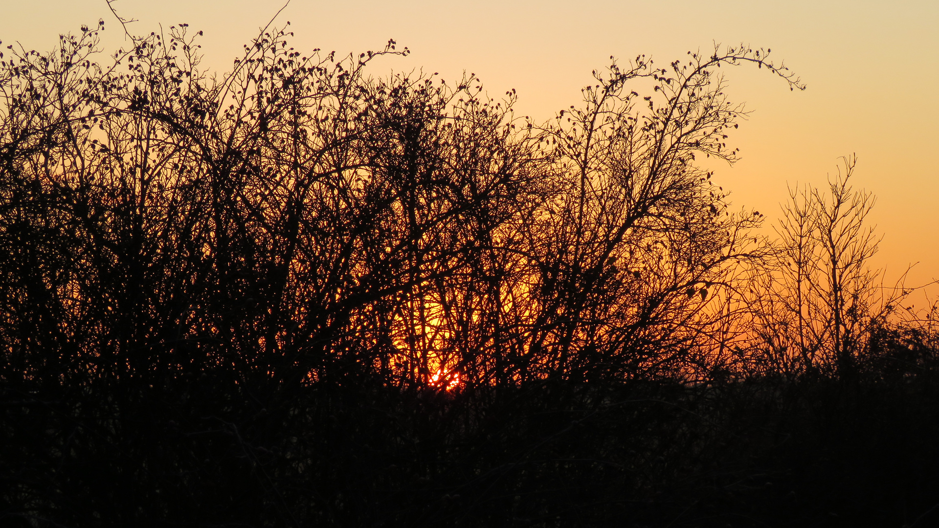 Sonnenaufgang in der Altmark... Foto & Bild | landschaft ...