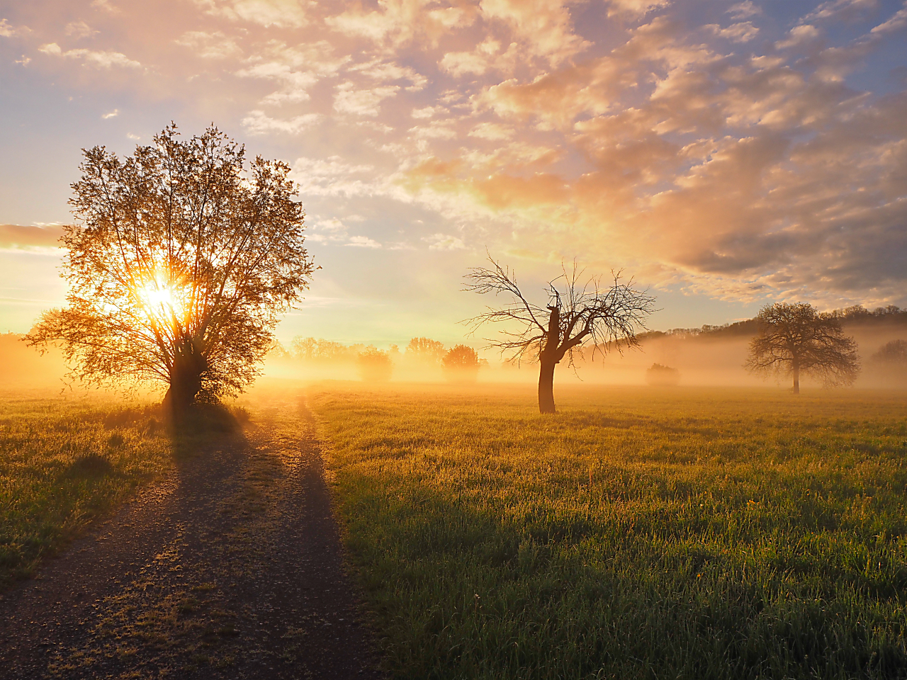 Sonnenaufgang in Flußaue Foto & Bild | landschaft, sonnenaufgänge ...