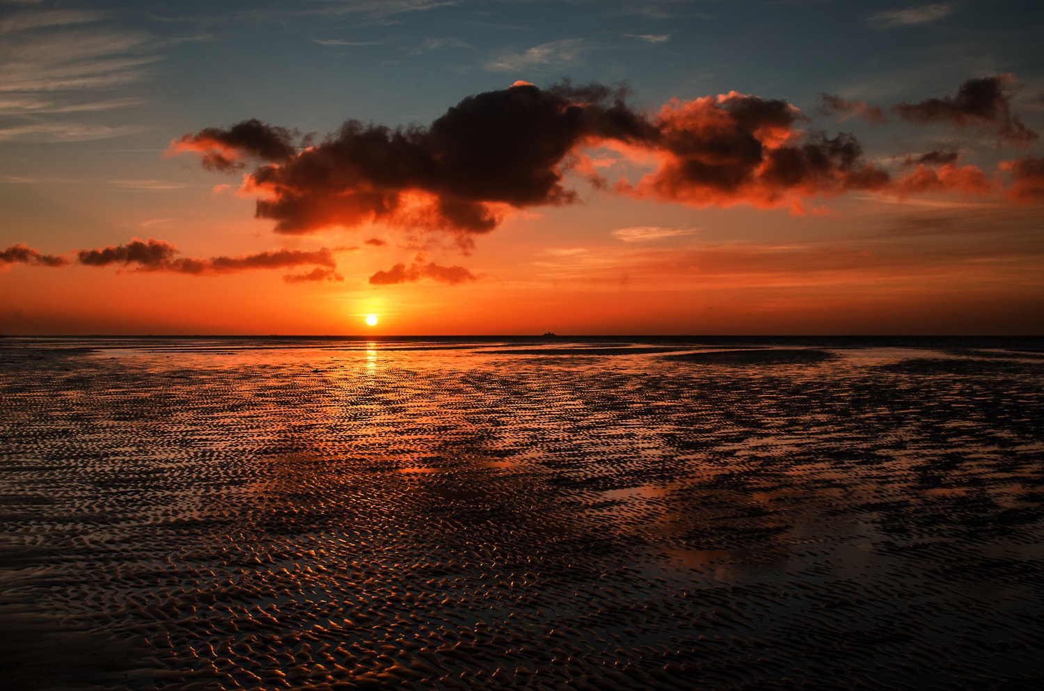 Sonnenaufgang in Utersum auf Föhr Foto & Bild | landschaft, meer ...