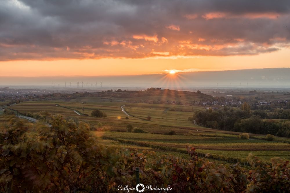 Sonnenaufgang über der Kleinen Kalmit Foto & Bild | landschaft ...