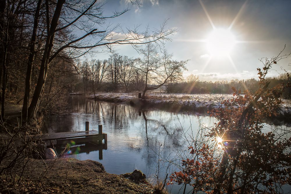 Sonnenstern Foto & Bild | januar, sonne, winter Bilder auf fotocommunity