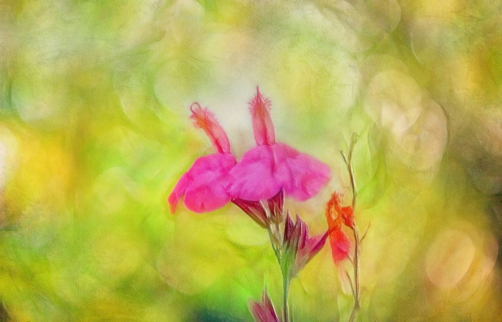 sonnenstrahlen und die tiefen in dir selbst ausmachen ... Foto & Bild | bearbeitungs - techniken ...