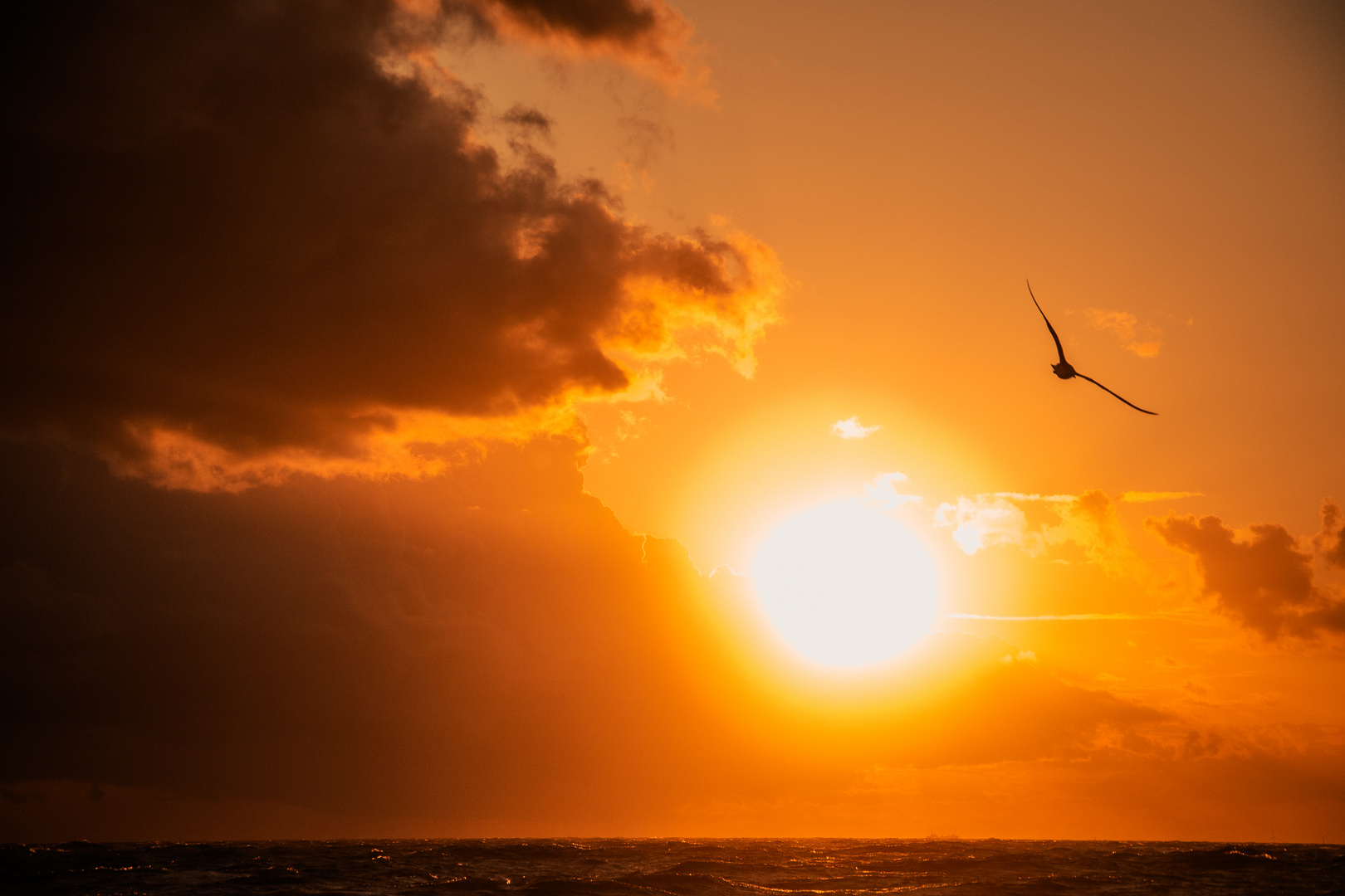 Sonnenuntergang Foto & Bild | europe, benelux, landschaft Bilder auf ...