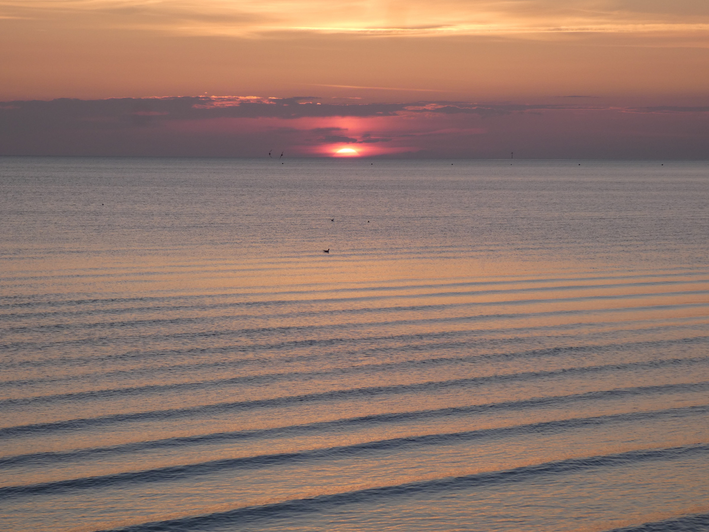 Sonnenuntergang am Meer Foto & Bild | sonnenuntergänge, himmel ...