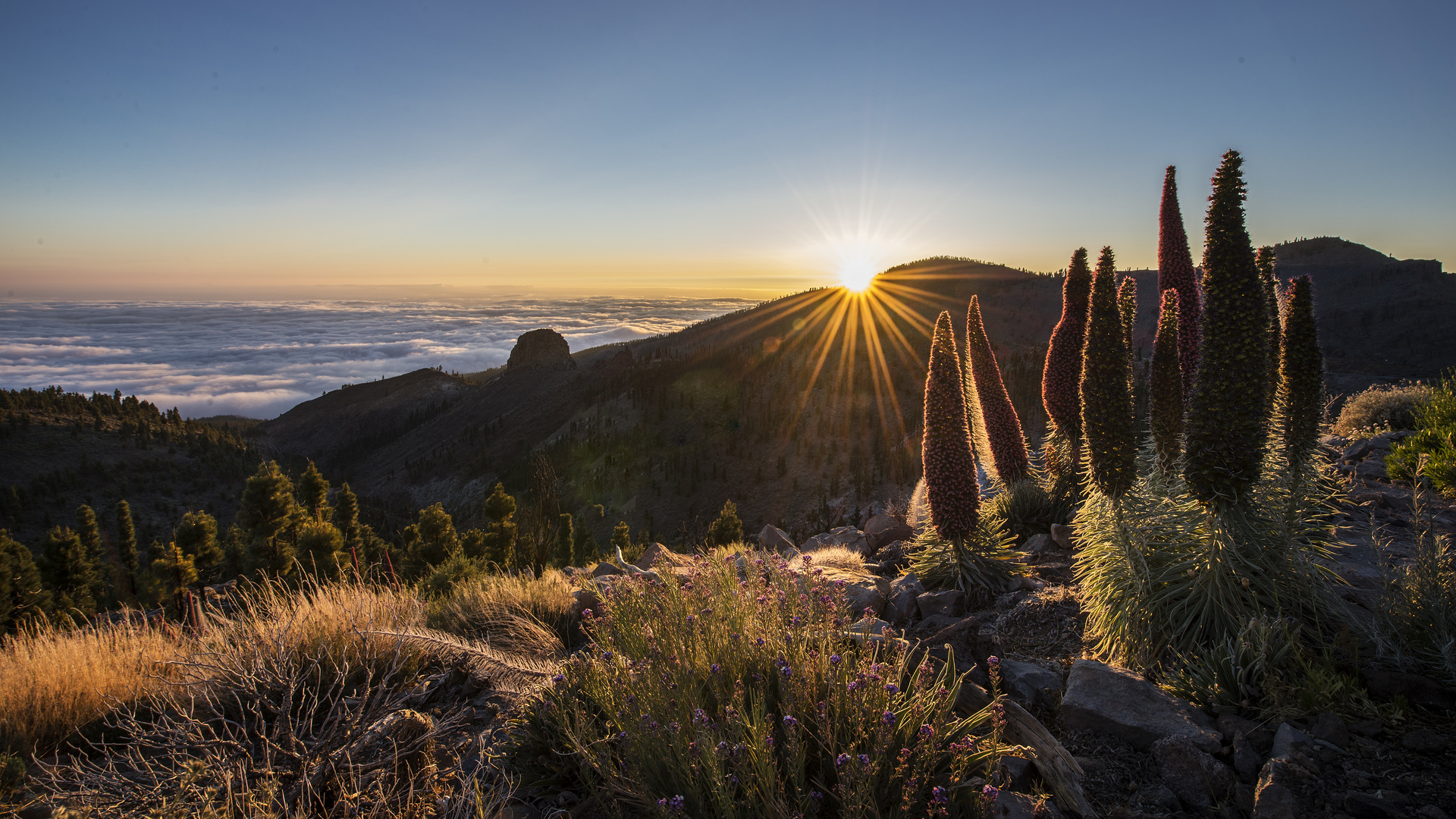 Sonnenuntergang am Teide Foto & Bild | natur, landschaft, teneriffa ...