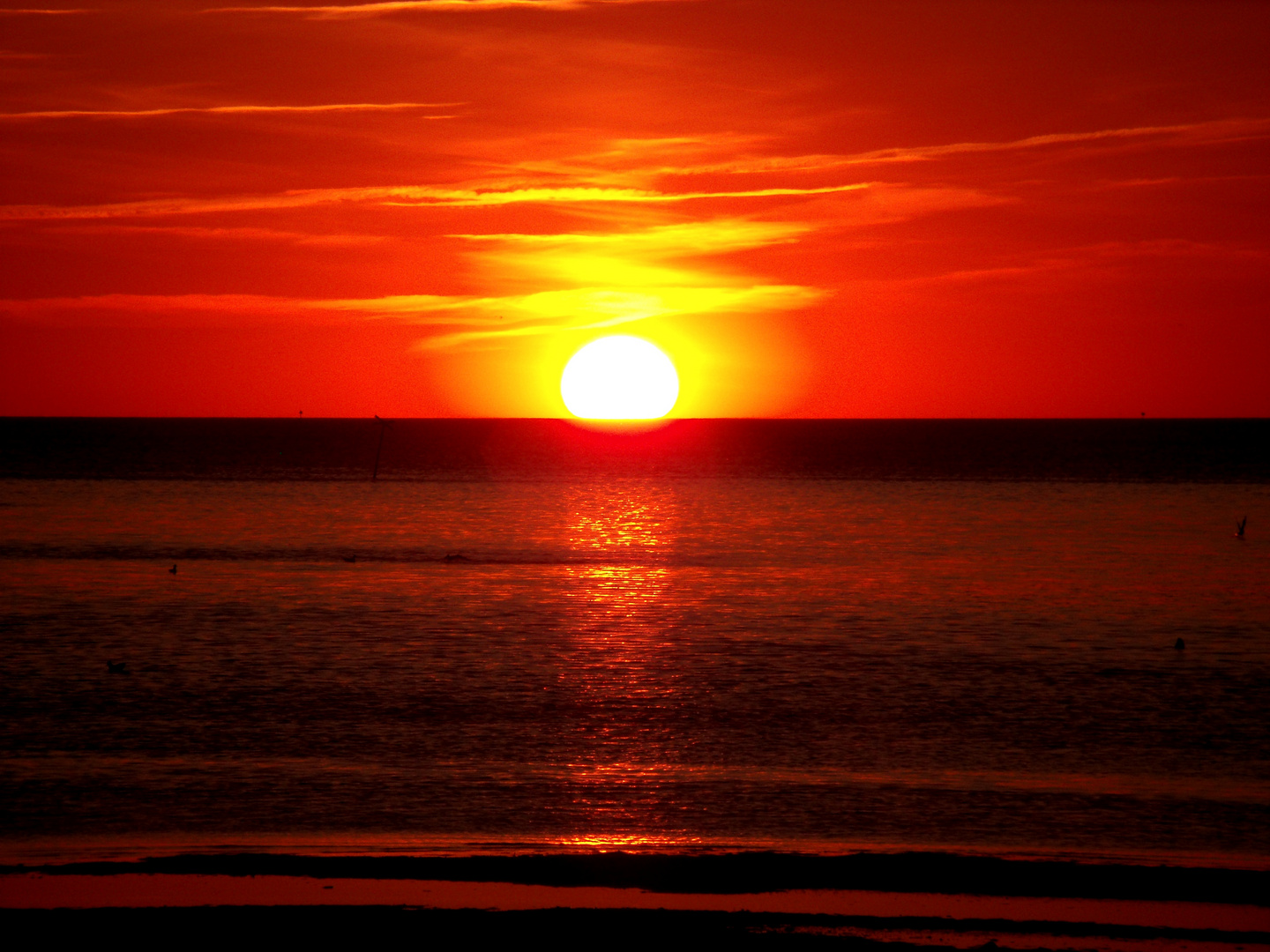 Sonnenuntergang an der Nordsee Foto & Bild | sonnenuntergänge, himmel ...