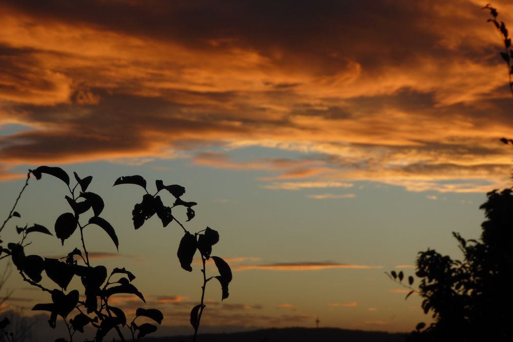 Sonnenuntergang Foto & Bild | natur Bilder auf fotocommunity