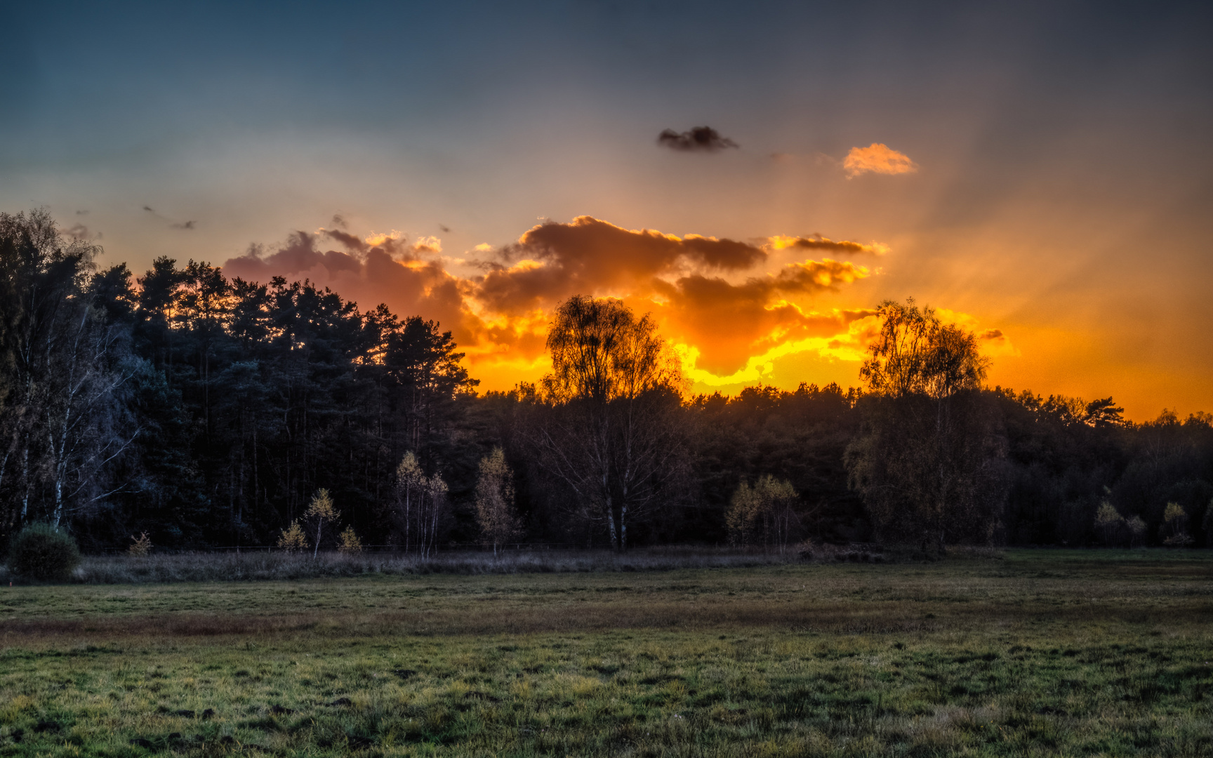 Sonnenuntergang hinter dem Wald Foto & Bild | landschaft, sonnenuntergänge, Äcker, felder ...