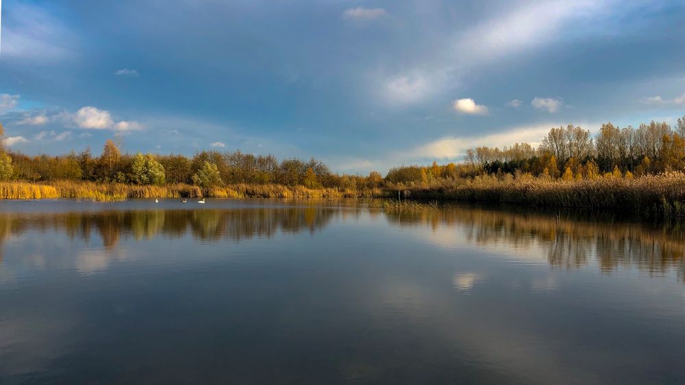 Sonniger Herbsttag in der „Neuen Harth“ Foto & Bild | landschaft ...