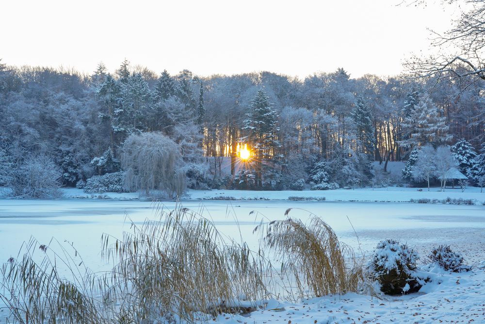 Sonntag mit Sonne Foto & Bild | landschaft, jahreszeiten, winter Bilder auf fotocommunity