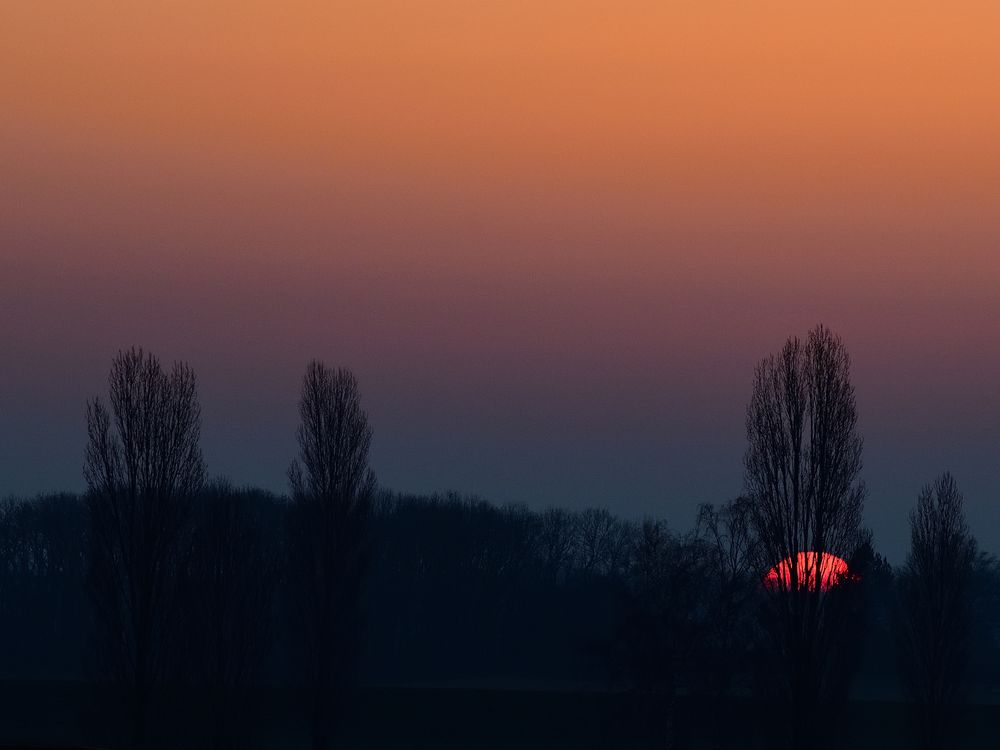 Sonntag mit Sonne, dimanche avec soleil, Sunday with sun, domingo con ...