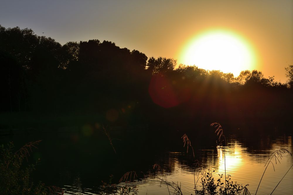 Sonntag mit Sonne, sunday with sun, domingo con sol Foto & Bild | art ...