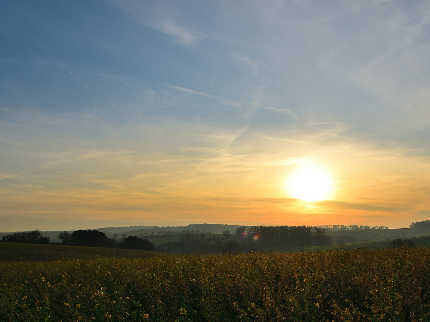 Sonntag mit Sonne, Sunday with sun, domingo con sol Foto & Bild | nikon ...