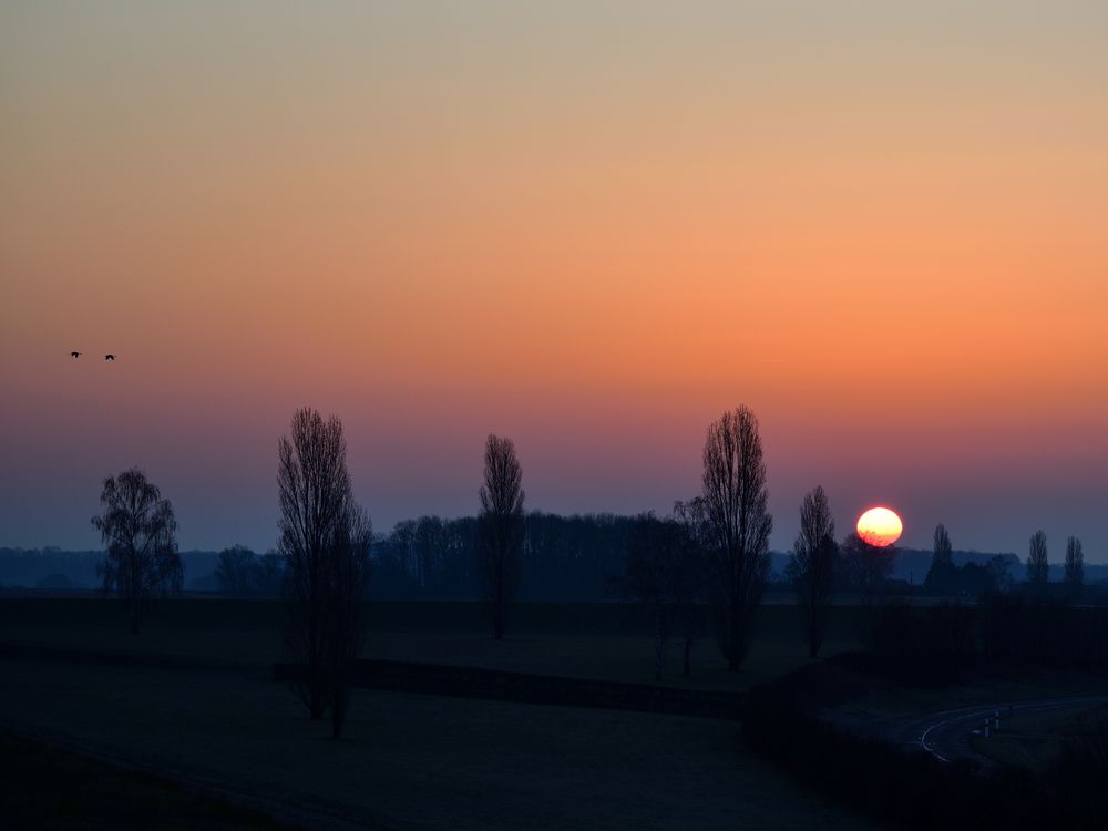 Sonntag mit Sonne, sunday with sun, domingo con sol Foto & Bild | art ...