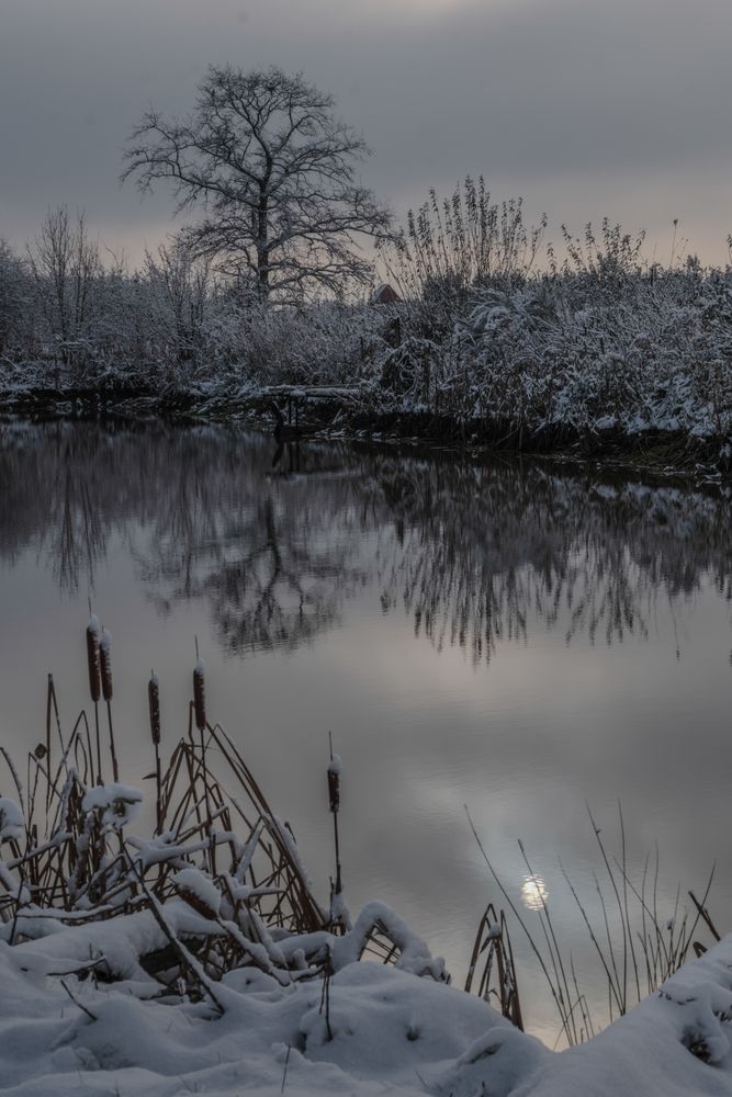 Sonntags am Teich Foto & Bild | jahreszeiten, winter, projekte Bilder auf fotocommunity