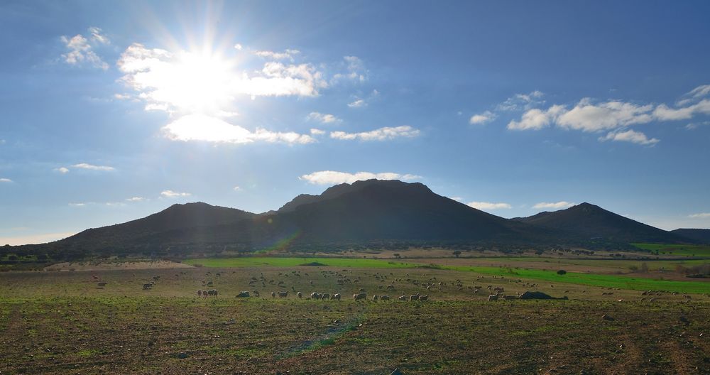 Sonntags mit Sonne, sunday with sun, domingo con sol Foto & Bild ...