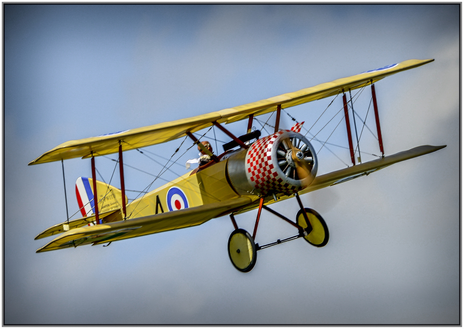 Sopwith Camel Foto & Bild | airplane, verkehr, technik Bilder auf ...
