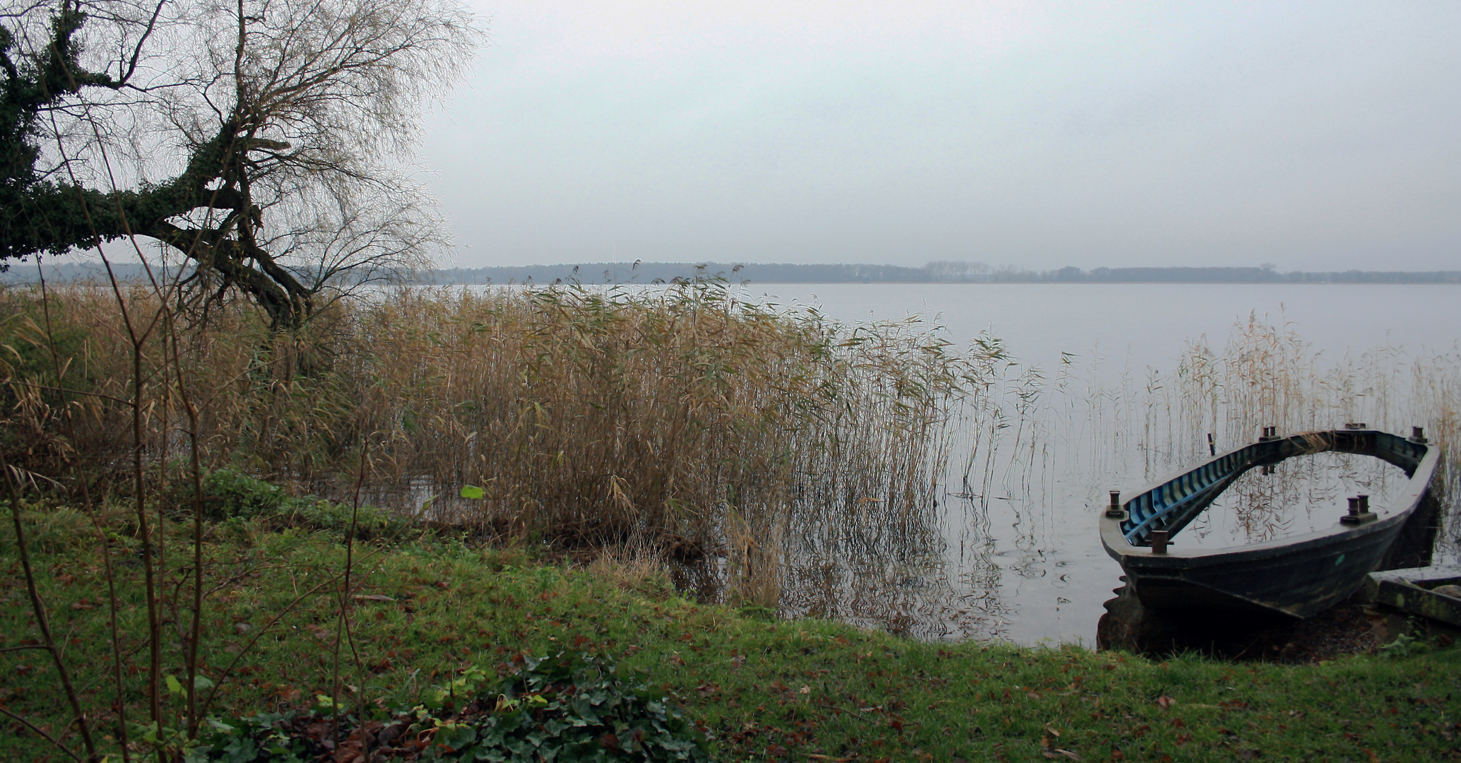 Spätherbst in der Altmark Foto & Bild | natur, see, landschaft Bilder ...