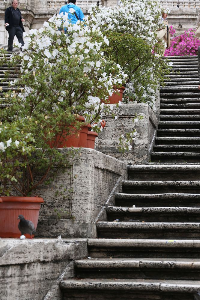 Spanische Treppe - ROM Foto & Bild | privat - sichtbar Bilder auf ...