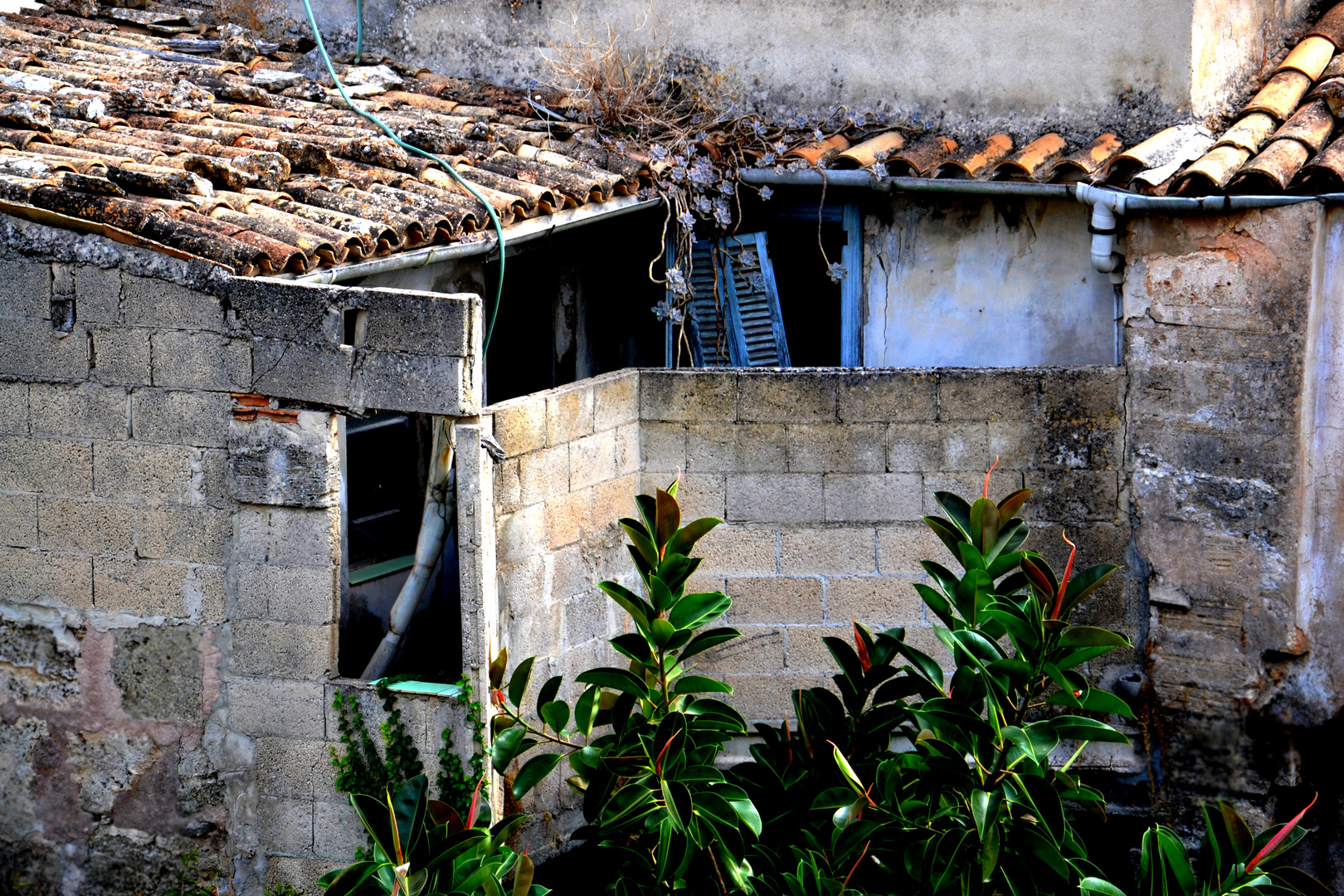 Spanish Life Foto & Bild | europe, balearic islands, spain Bilder auf ...