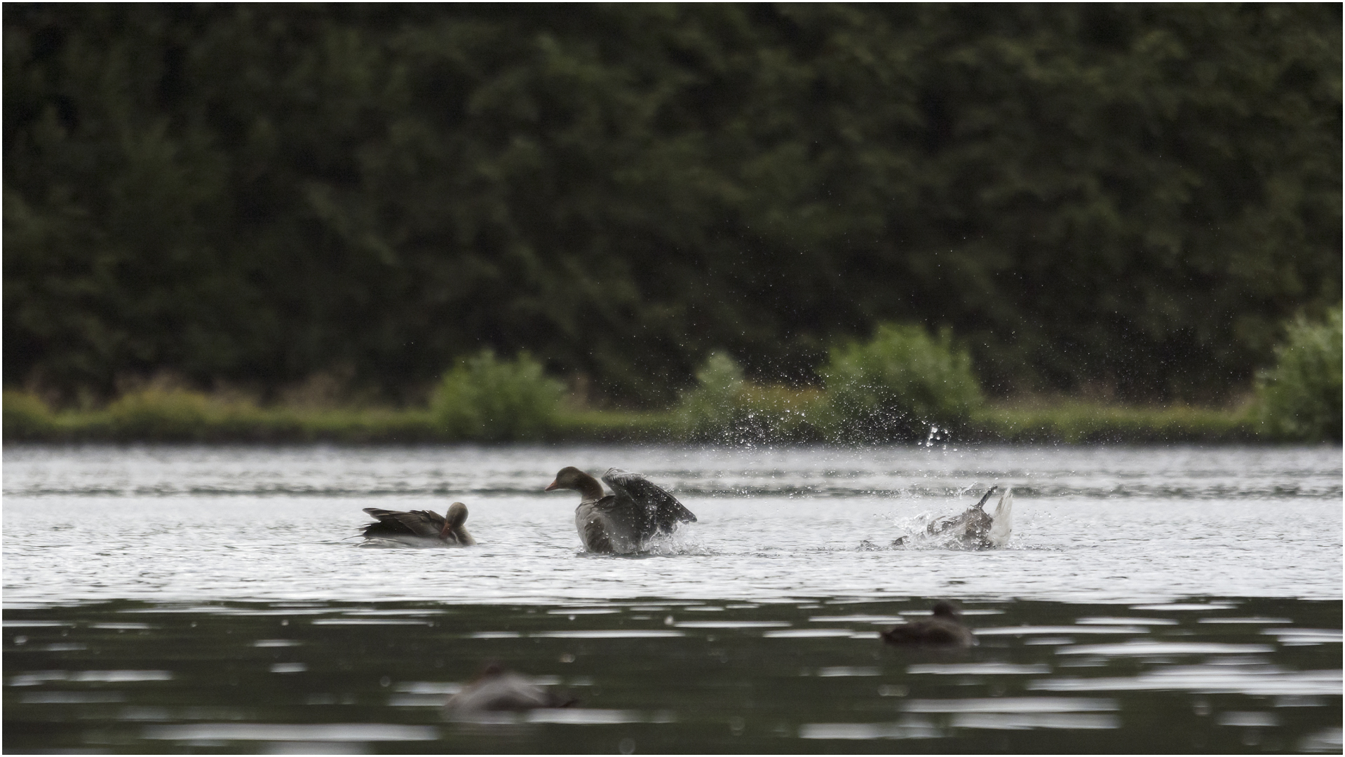 spass Foto & Bild | park, münchen, natur Bilder auf fotocommunity