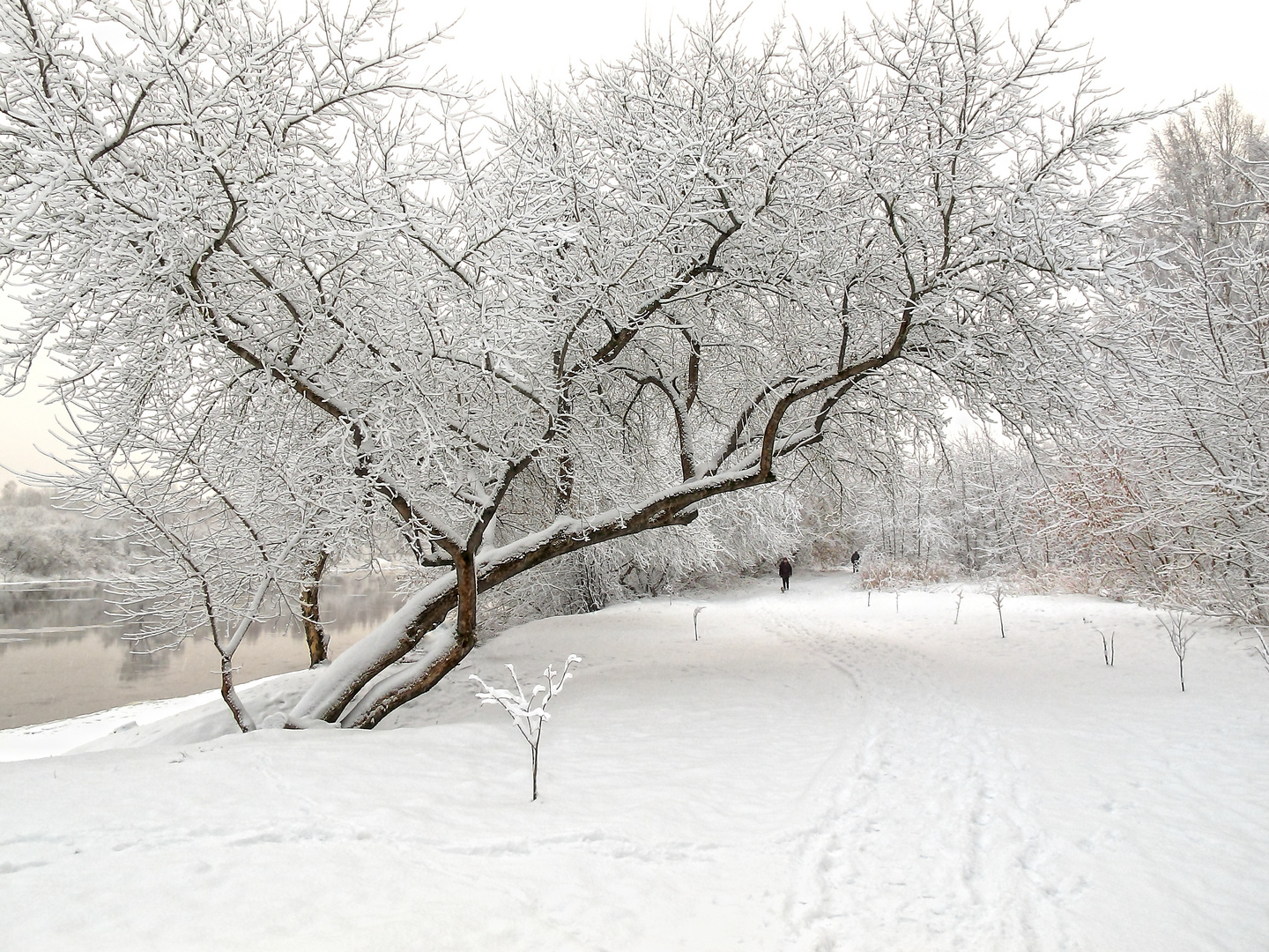 Spaziergang am Fluss entlang Foto & Bild | winter, landschaft, europe ...