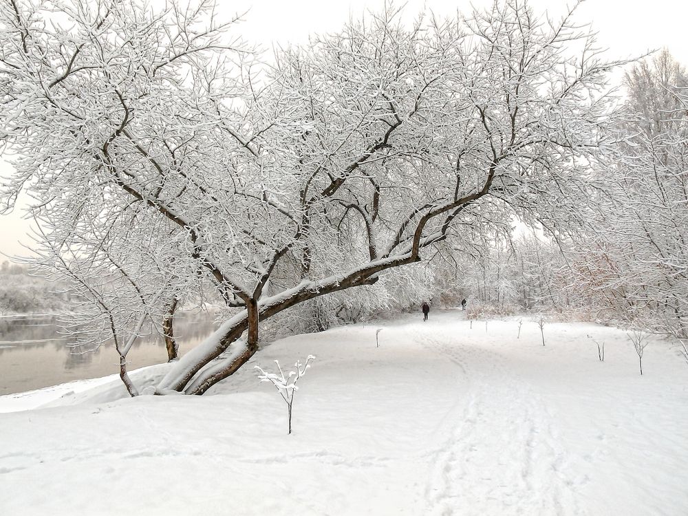 Spaziergang am Fluss entlang Foto & Bild | winter, landschaft, europe Bilder auf fotocommunity