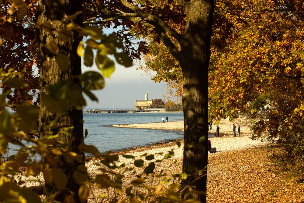 Spaziergang am See Foto & Bild | landschaft, jahreszeiten, herbst Bilder auf fotocommunity