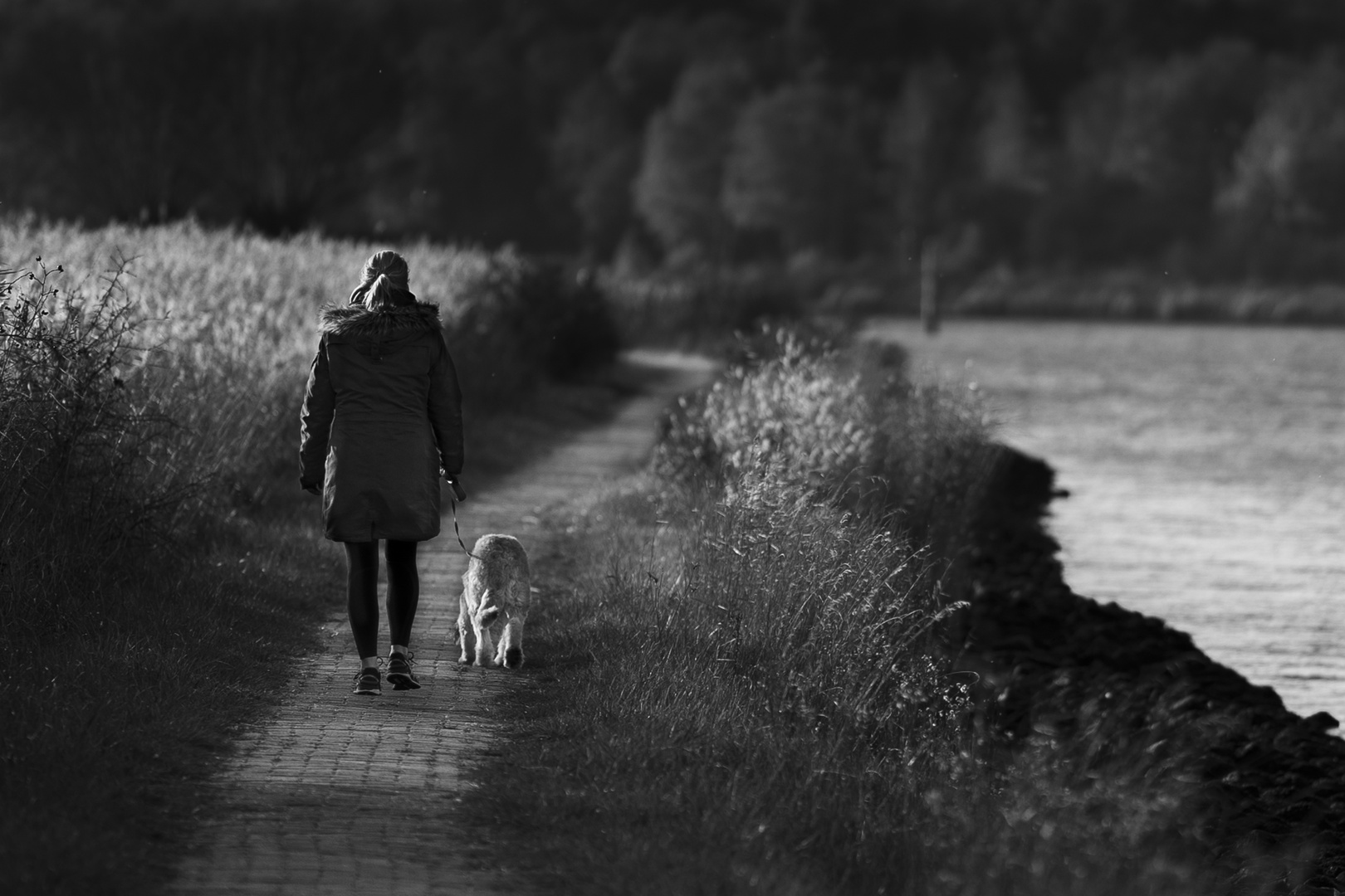 Spaziergang Foto & Bild | erwachsene, tiere, streetfotografie mit menschen Bilder auf fotocommunity