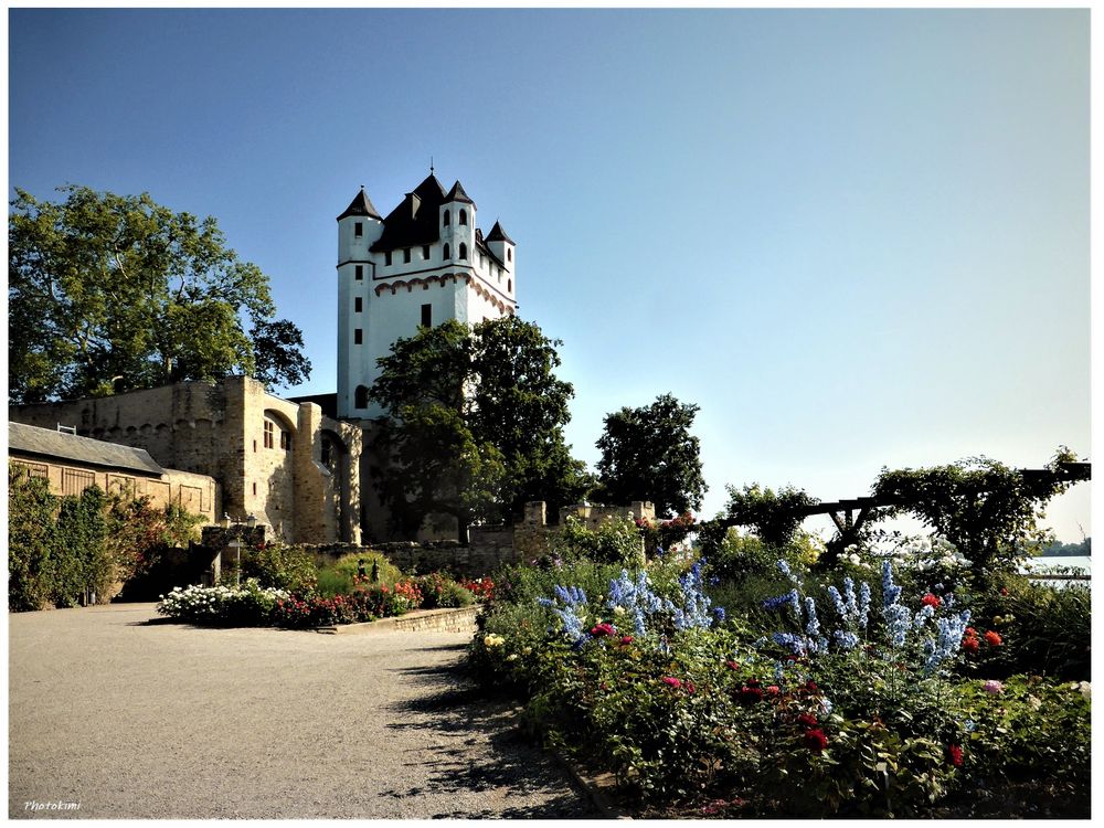 Spaziergang durch eine Weinstadt (23) Foto & Bild | architektur ...