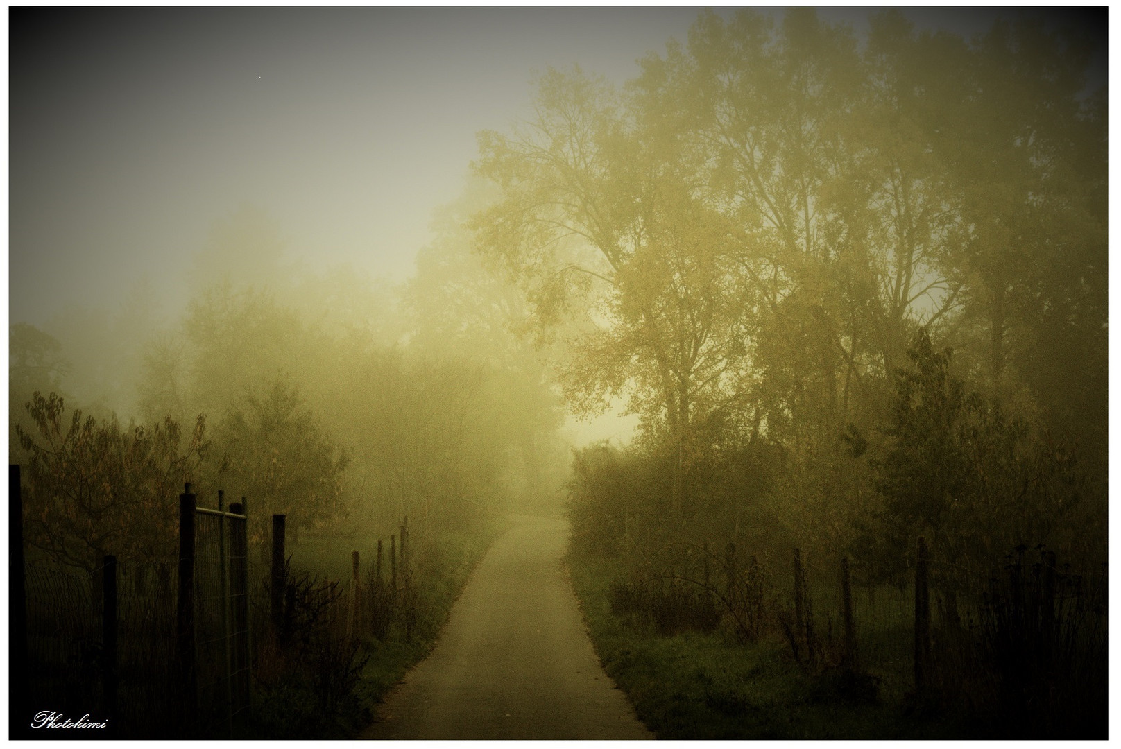 Spaziergang im Nebel (IV) Foto & Bild | p1014223 2, weg zwischen den ...