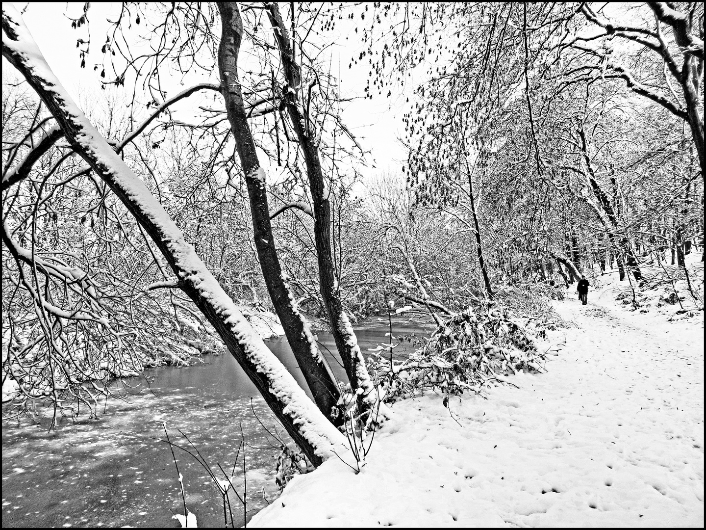 SPAZIERGANG IM SCHNEE...... Foto & Bild | jahreszeiten, winter, projekte Bilder auf fotocommunity