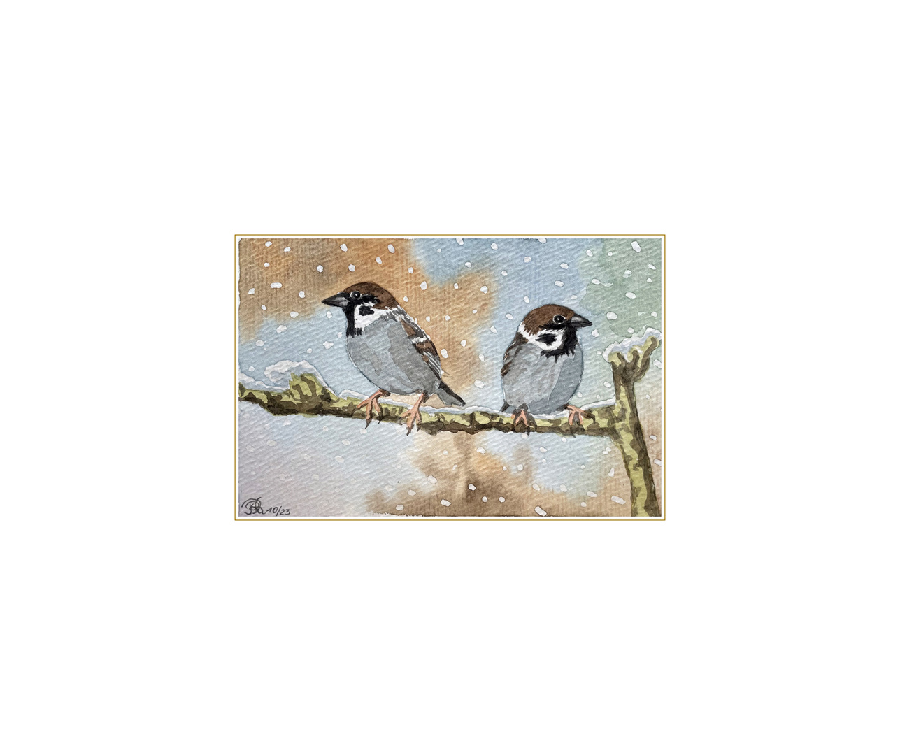 Sperlinge Foto & Bild | tiere, wildlife, wild lebende vögel Bilder auf ...